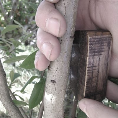 MAKILA. The Basque Walking Stick