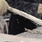 MAKILA. The Basque Walking Stick